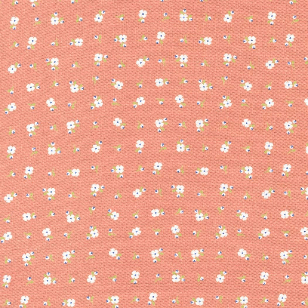 Peachy Keen Pixie Ditsy Peach