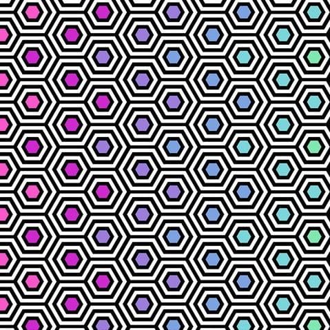 Tula's True Colors Quilt Back - Rainbow Hexy XL Ink - 3yd Cut ...