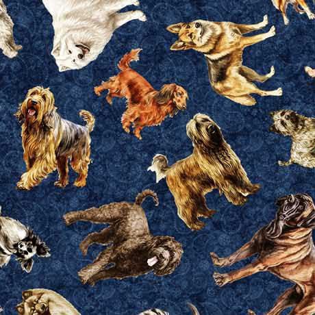 Top Dog - Dog Toss Navy – Stitchin Heaven