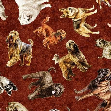 Top Dog - Dog Toss Rust – Stitchin Heaven